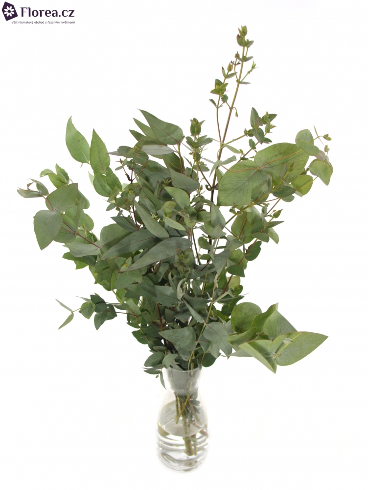 Eucalyptus mix 200g