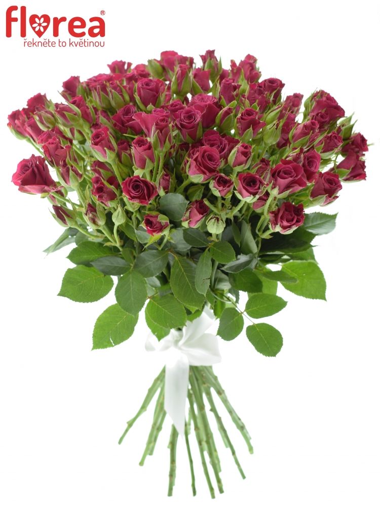 Kytice 100+ květů růží GLORIOUS 50cm