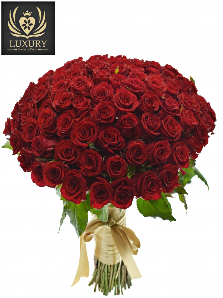 Kytice 100 luxusních růží RED EAGLE 55cm