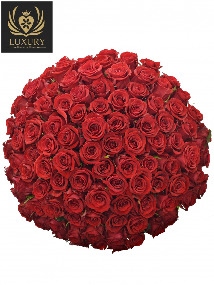 Kytice 100 luxusních růží RED EAGLE 55cm