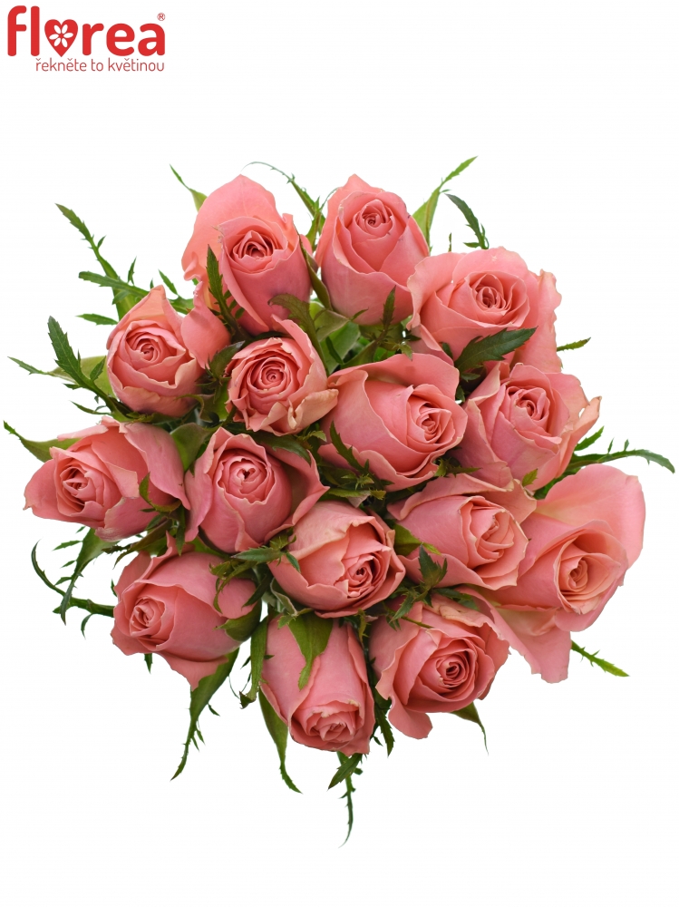 Kytice 15 růžových růží ACE PINK 50cm