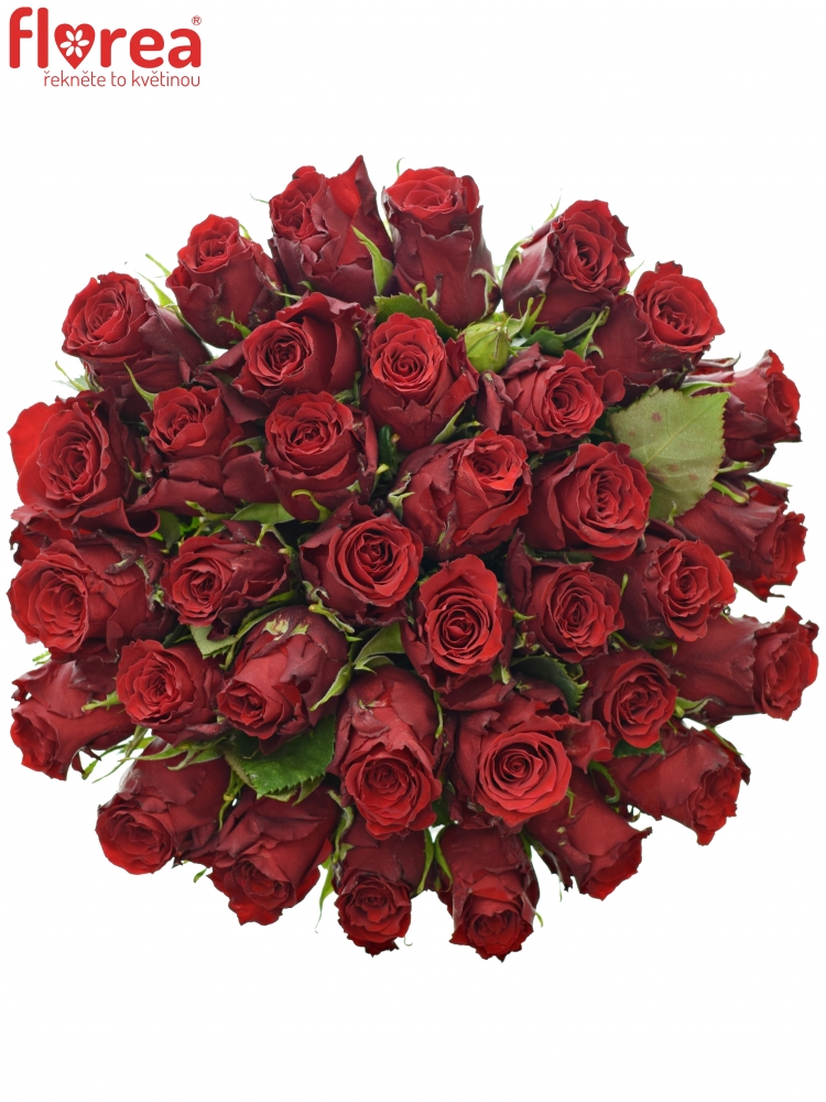 Kytice 35 rudých růží RED TORCH 70cm
