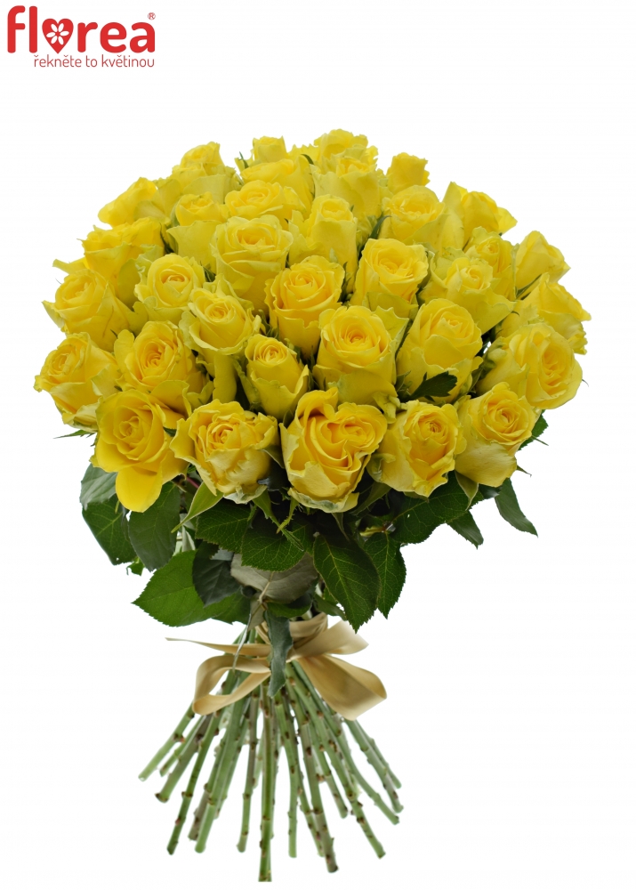 Kytice 35 žlutých růží Penny Lane 60cm