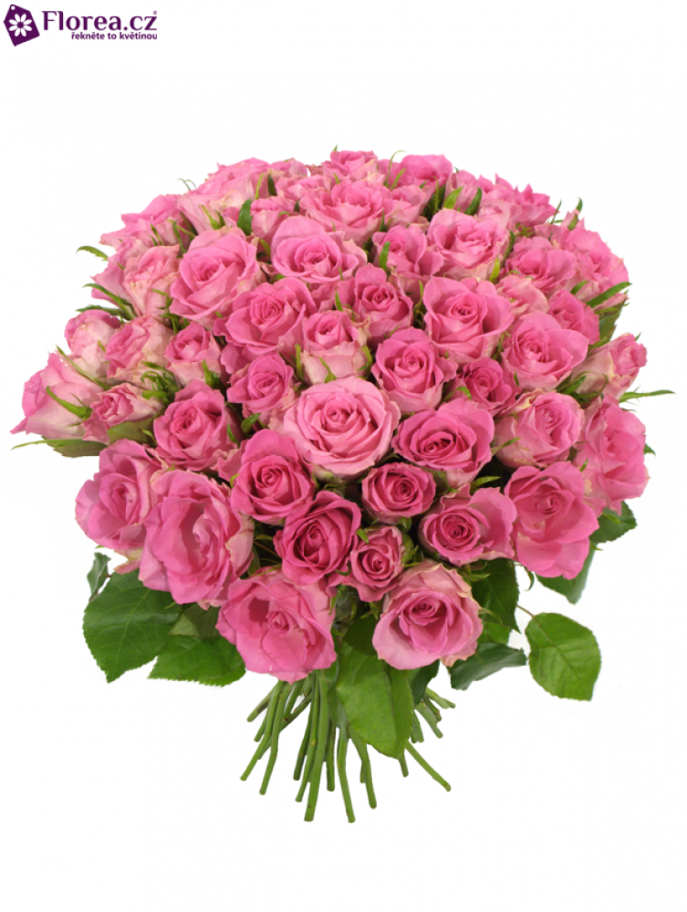 Kytice 55 růžových růží TISENTO 40cm