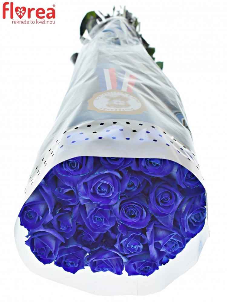 Modrá růže BLUE VENDELA 70cm (M)