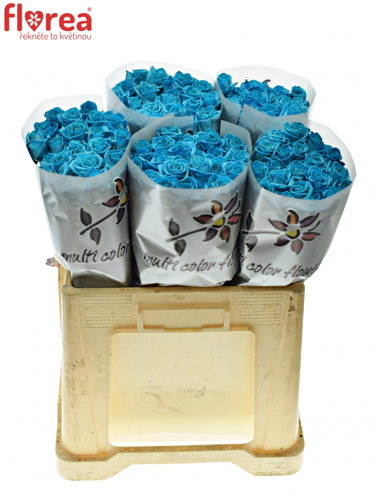Modrá růže LIGHT BLUE VENDELA 70cm (M)