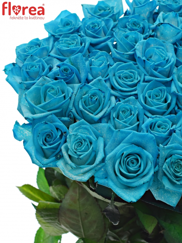 Modrá růže LIGHT BLUE VENDELA 60cm (M)