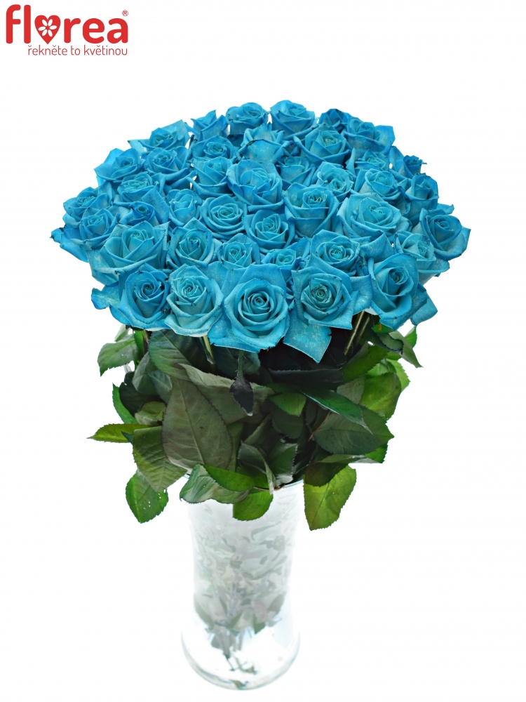 Modrá růže LIGHT BLUE VENDELA 70cm (M)