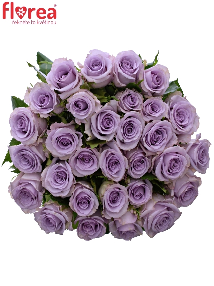 Modrá růže OCEAN BLUE 40cm (L)