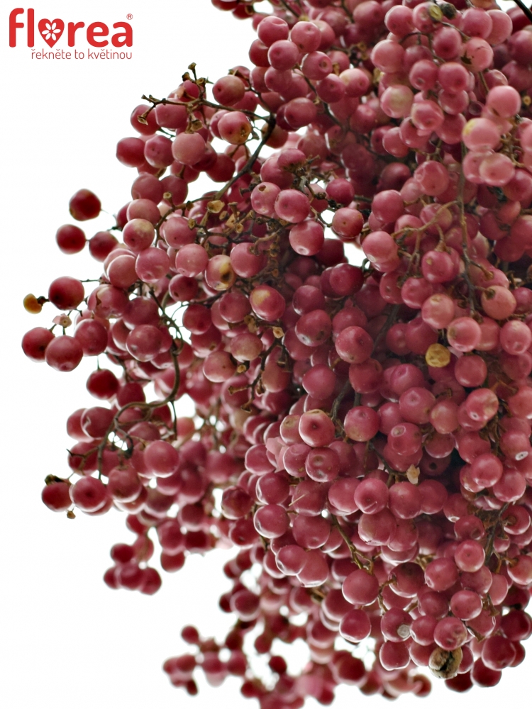 PEPPER BERRIES