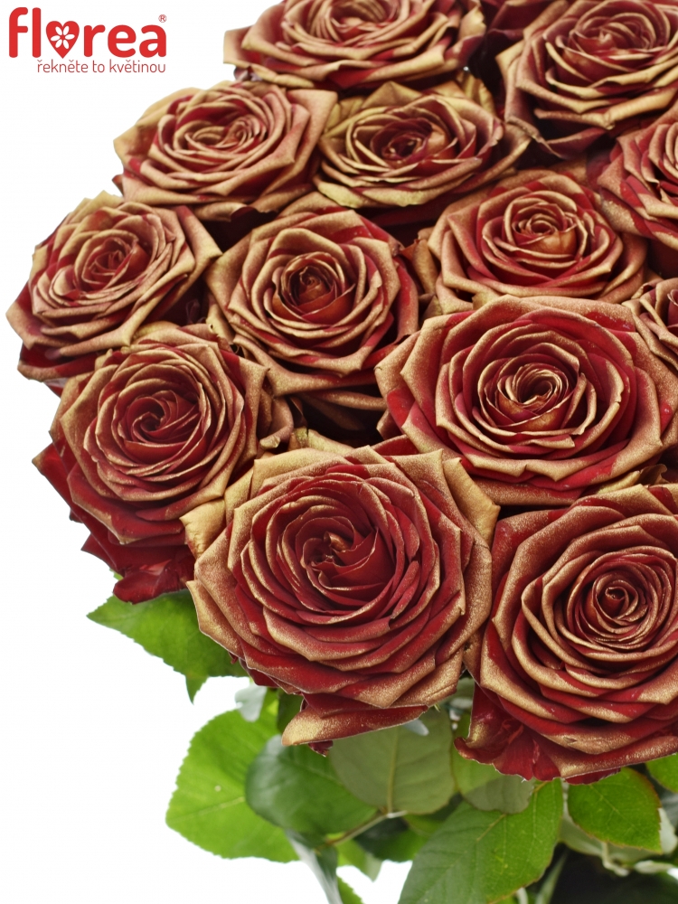 Rudá růže RED NAOMI! ANTIQUE 70cm (L)