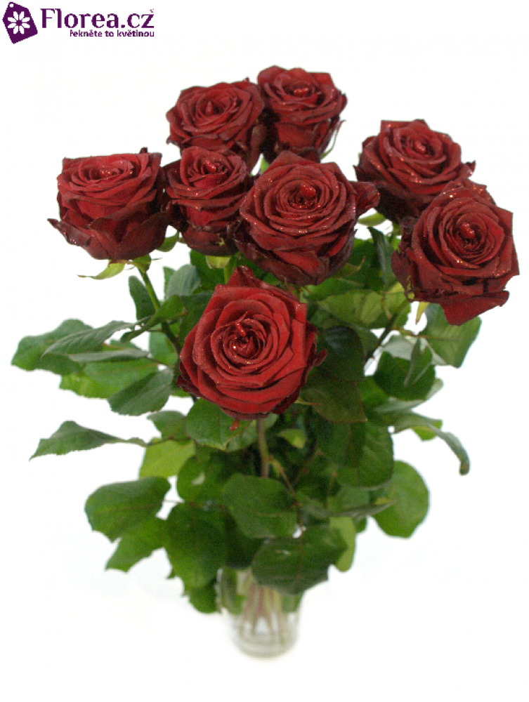 Rudá růže RED NAOMI! GLITTER LOVE 70cm (L)