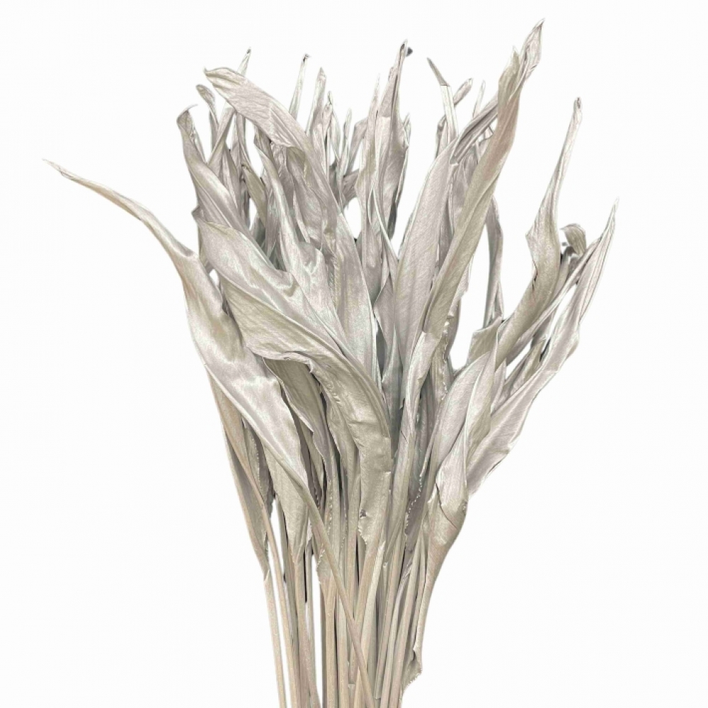 Strelície list SILVER 110cm