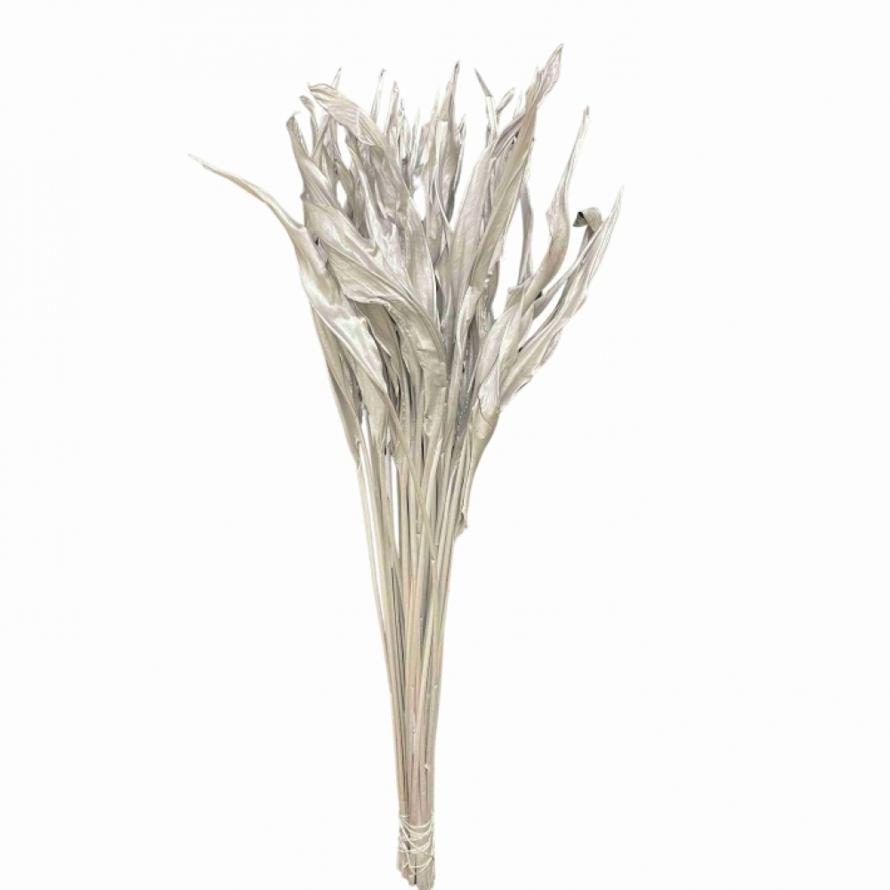 Strelície list SILVER 110cm