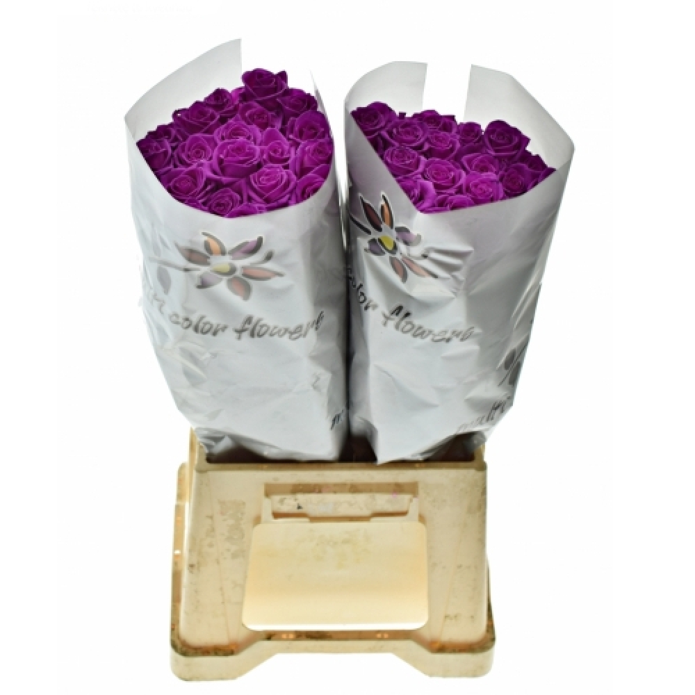 Svazek 20 růží CERISE VENDELA 70cm (M)