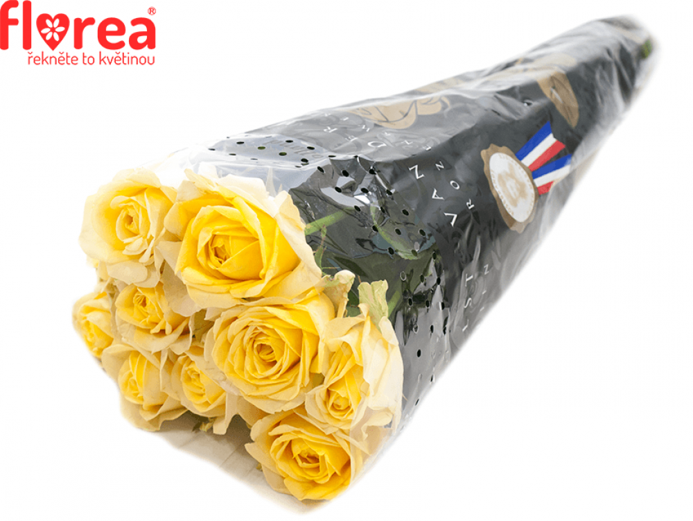 Žlutá růže SUMMERSHINE 60cm (XL)