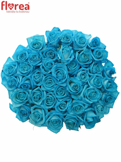 Modrá růže LIGHT BLUE VENDELA 70cm (M)