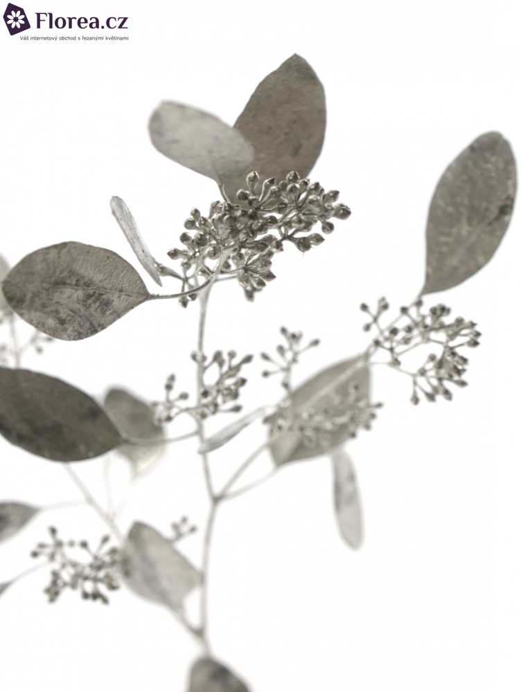 EUCALYPTUS POPULUS BERRIES SILVER 200g